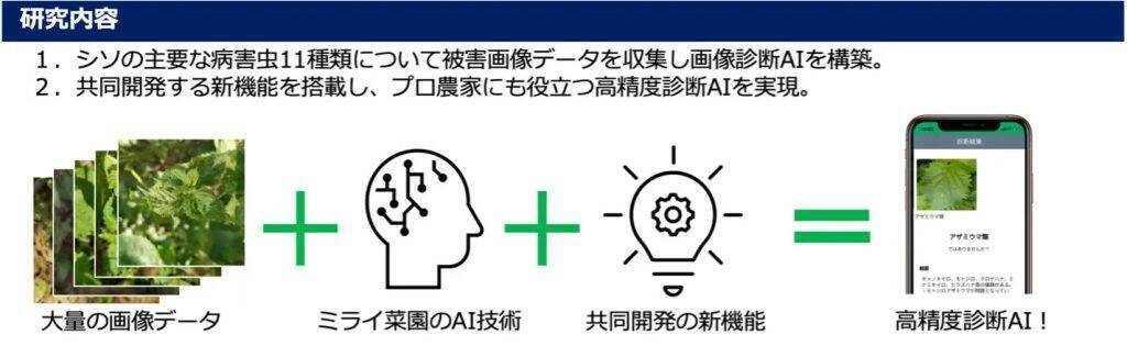 ミライ農園、シソの病害虫を判別するAI診断技術を開発 症例画像などを元に平均精度94％を実現 (2026年1月16日) - エキサイトニュース