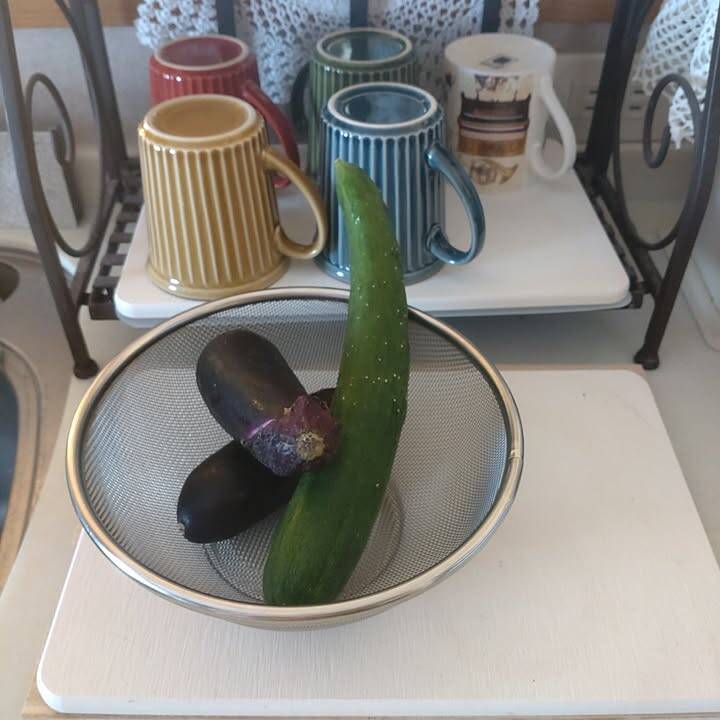 【使い方のコツ】100均が優秀！珪藻土水切り板の使いこなし術 by Hujikoさん (2024年8月19日) - エキサイトニュース