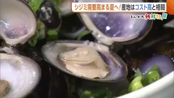 旬到来！大粒で身入り良好な“新潟県産シジミ” 丑の日は“ウナギ＋シジミ”で夏バテ防止を - エキサイトニュース