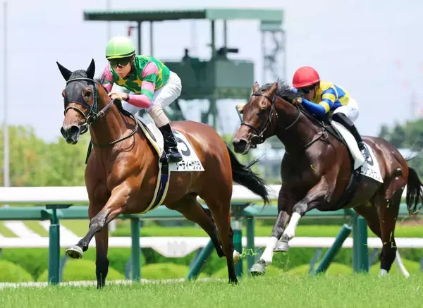 トラッキングシステム対象レース拡大初日に衝撃の数値！「GIでも見た事ない」 ジーティーサクラ鬼脚にネット驚嘆 - エキサイトニュース