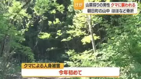 体長1メートルのクマに襲われ顔骨折などけが・70歳男性命に別条なし 山菜採りで山へ 山形・朝日町 - エキサイトニュース