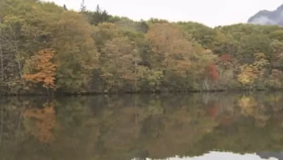 【角度当てクイズ Vol.1732】xの角度は何度？ - エキサイトニュース