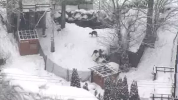 「期限までの撤去は困難」ノースサファリサッポロの違法建築物3か月半で122棟→34棟に減少_秋元札幌市長「一定の進捗見られる」今後、立ち入り ...