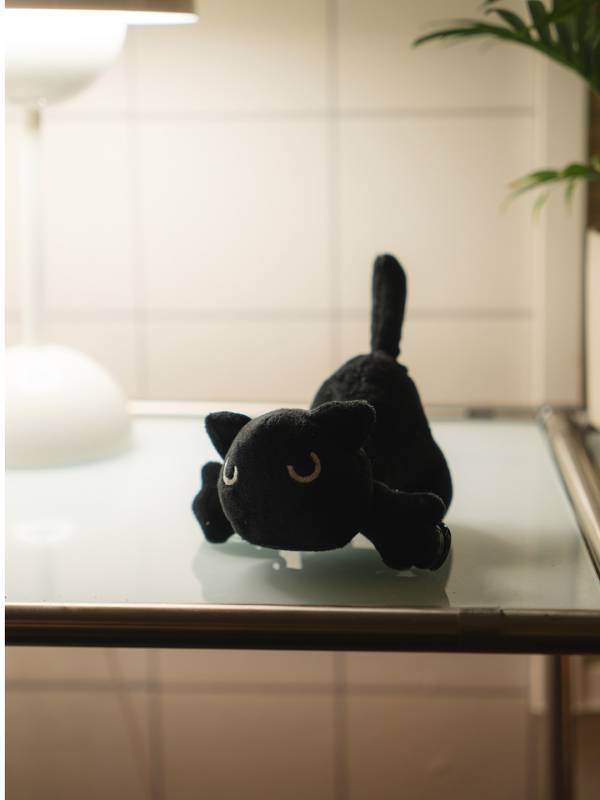 ALL1,000円以下【3COINS＆KALDI】プチプラハロウィン飾りつけアイテム5選 | HugMug｜ウーマンエキサイト